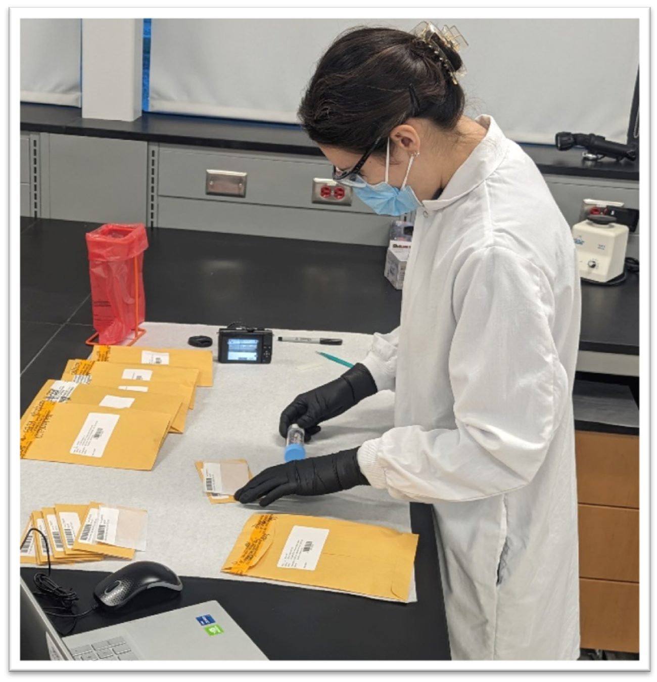 College Internship Program